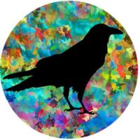 april taitano – Multimedia Designer